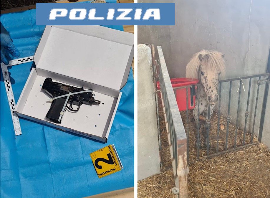 Anche un pony nell’arsenale di droga e armi scoperto a Nesima